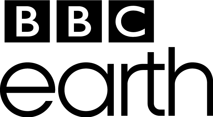 ホーム — Arctic Media Creation